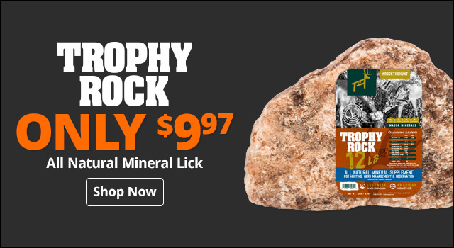 The Best in Fishing, Hunting and Boating Gear | Bass Pro Shops