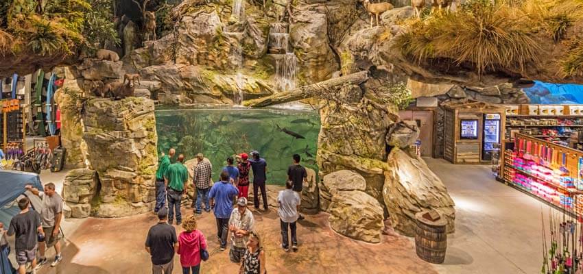 Bass Pro Shops Interior