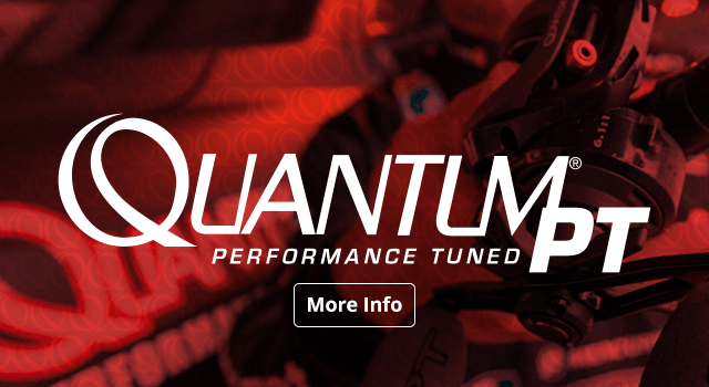 Quantum - More Info